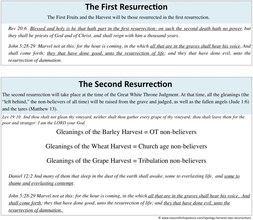 What Typology in the Harvests Points to the Two Resurrections ...
