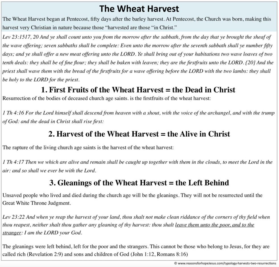 What Typology in the Harvests Points to the Two Resurrections ...