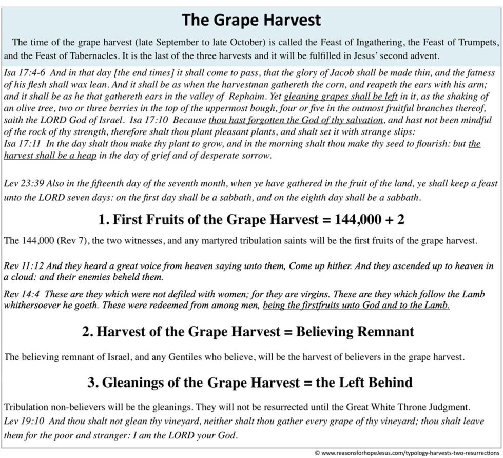 What Typology in the Harvests Points to the Two Resurrections ...