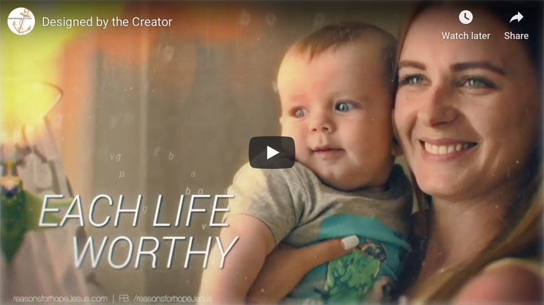 Who Are You? (Designed by the Creator video) » Reasons for Hope* Jesus