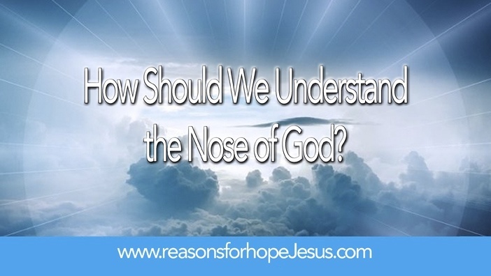 How Should We Understand the Nose of God? » Reasons for Hope* Jesus