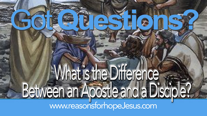 What is the Difference Between an Apostle and a Disciple? » Reasons for ...