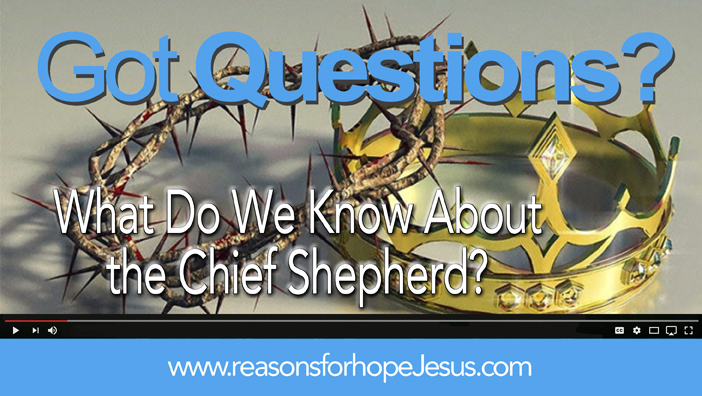 What Do We Know About The Chief Shepherd? (Psalm 24) » Reasons for Hope ...