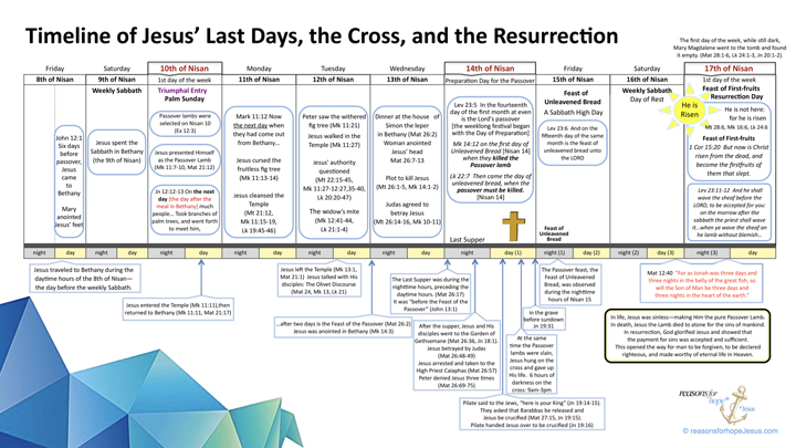 Reasons for Hope* Jesus » Reasons for Hope* Jesus